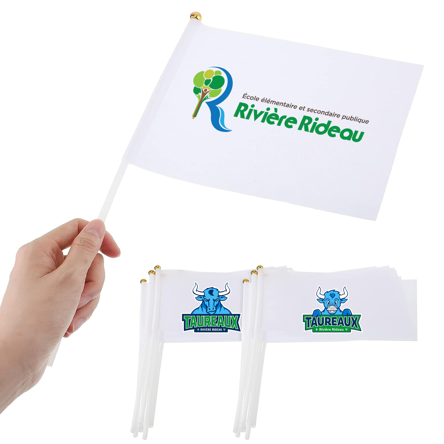 School Spirit flag – Ladybug Designs